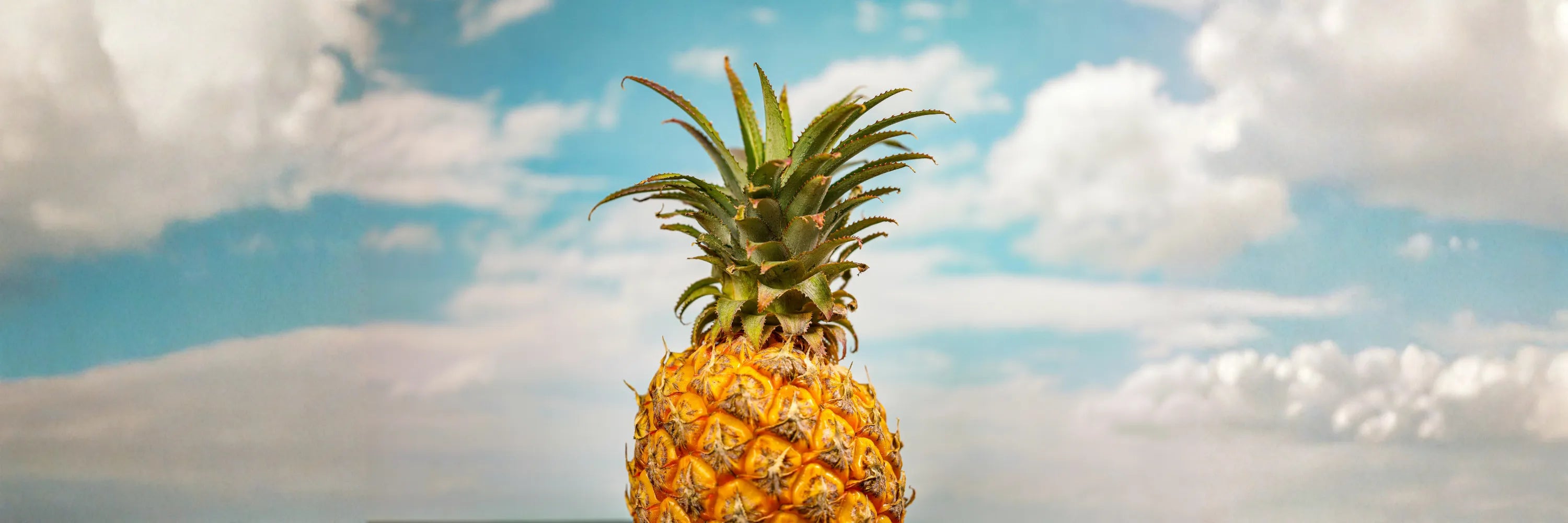 Summer Fresh